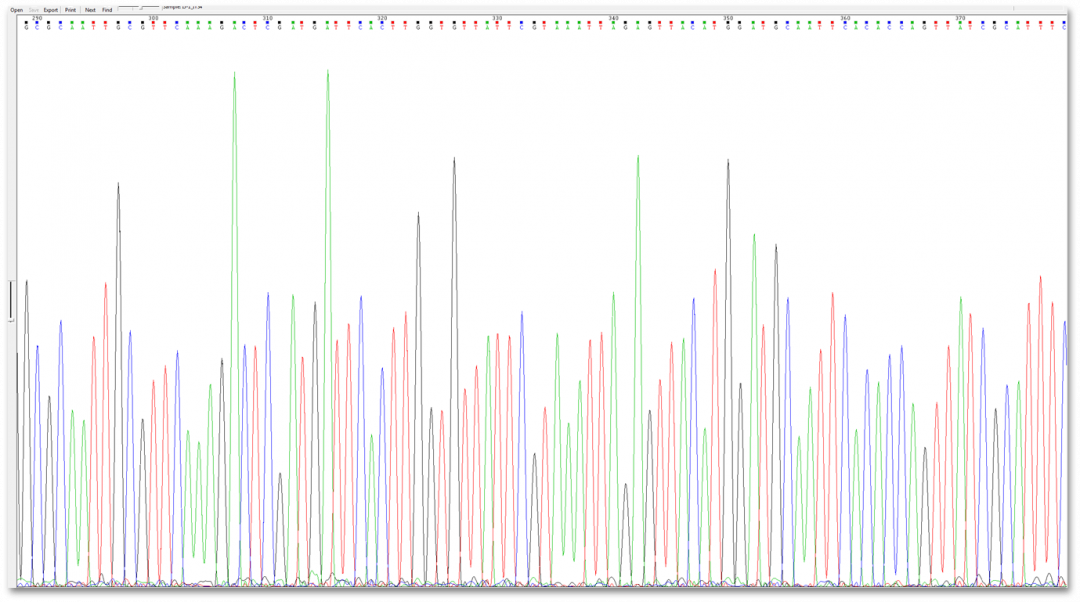 DNA Sequencing trace | Western Pennsylvania Mushroom Club
