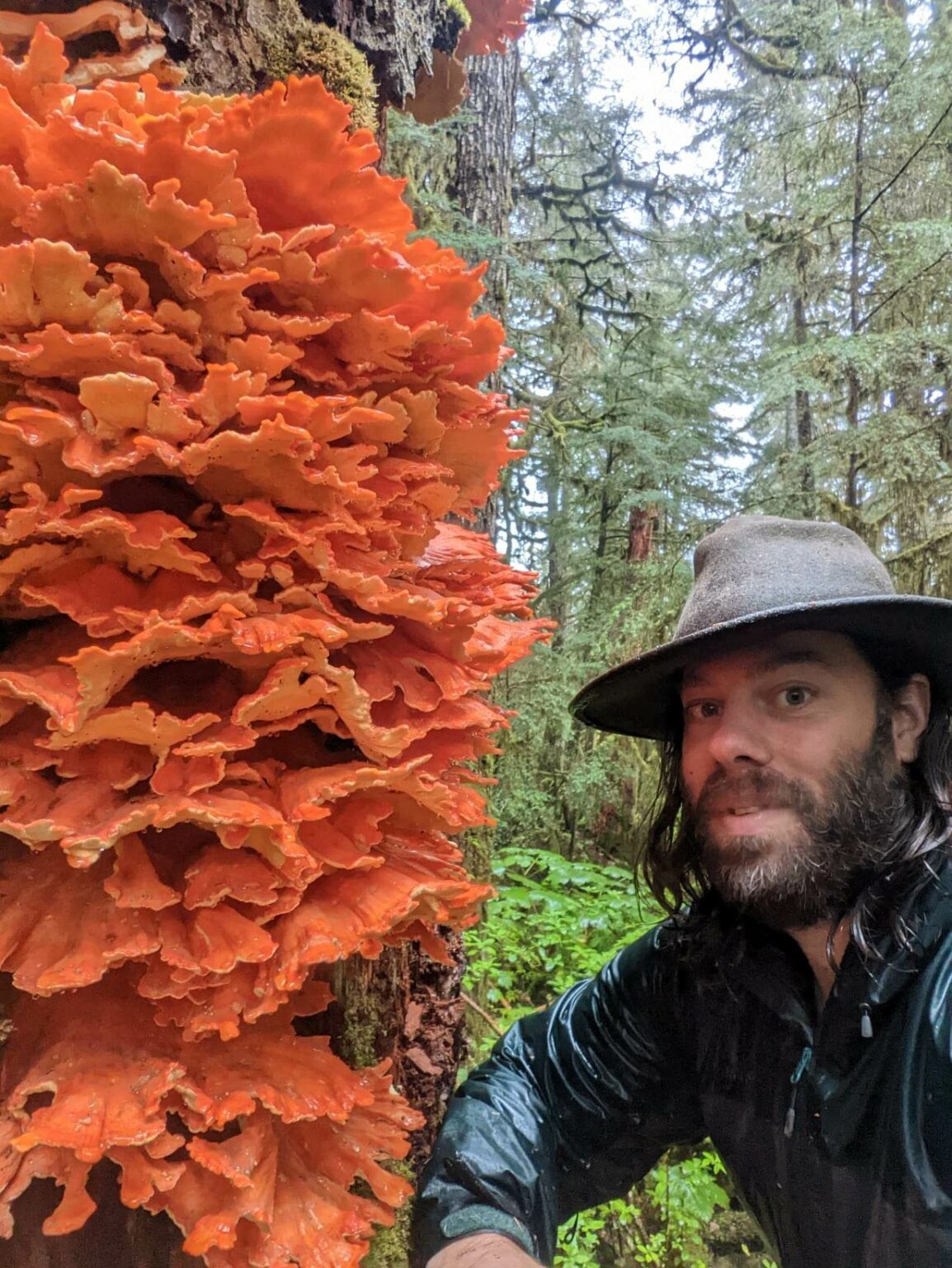 The Gary Lincoff Memorial Foray | Western Pennsylvania Mushroom Club
