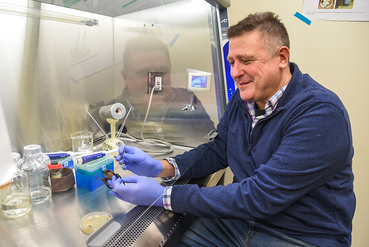 The Gary Lincoff Memorial Foray | Western Pennsylvania Mushroom Club